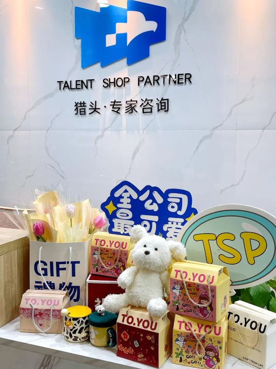 TSP（Talent Shop Partner）-高端招聘-人才检索数据平台